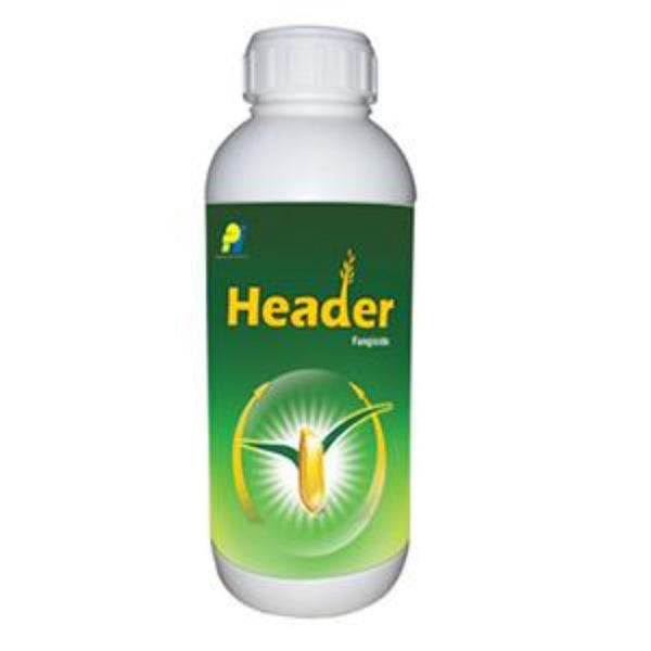 Header – Somani Agro Solution